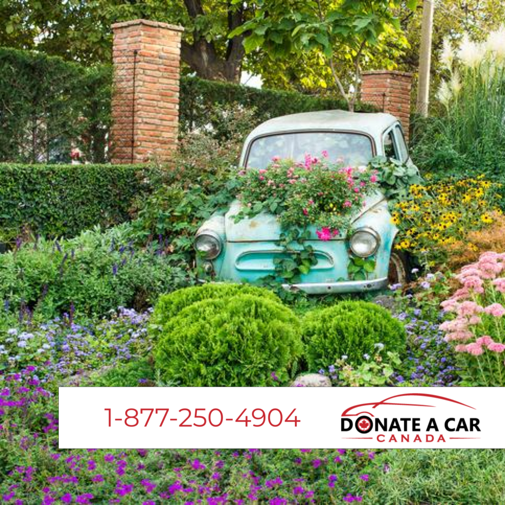Cancer, Cars, and Caring Canadians - Donate A Car