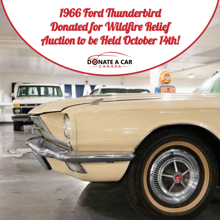 UPDATE! Charity Car Auction | Dealership Donates Classics for Charity ...